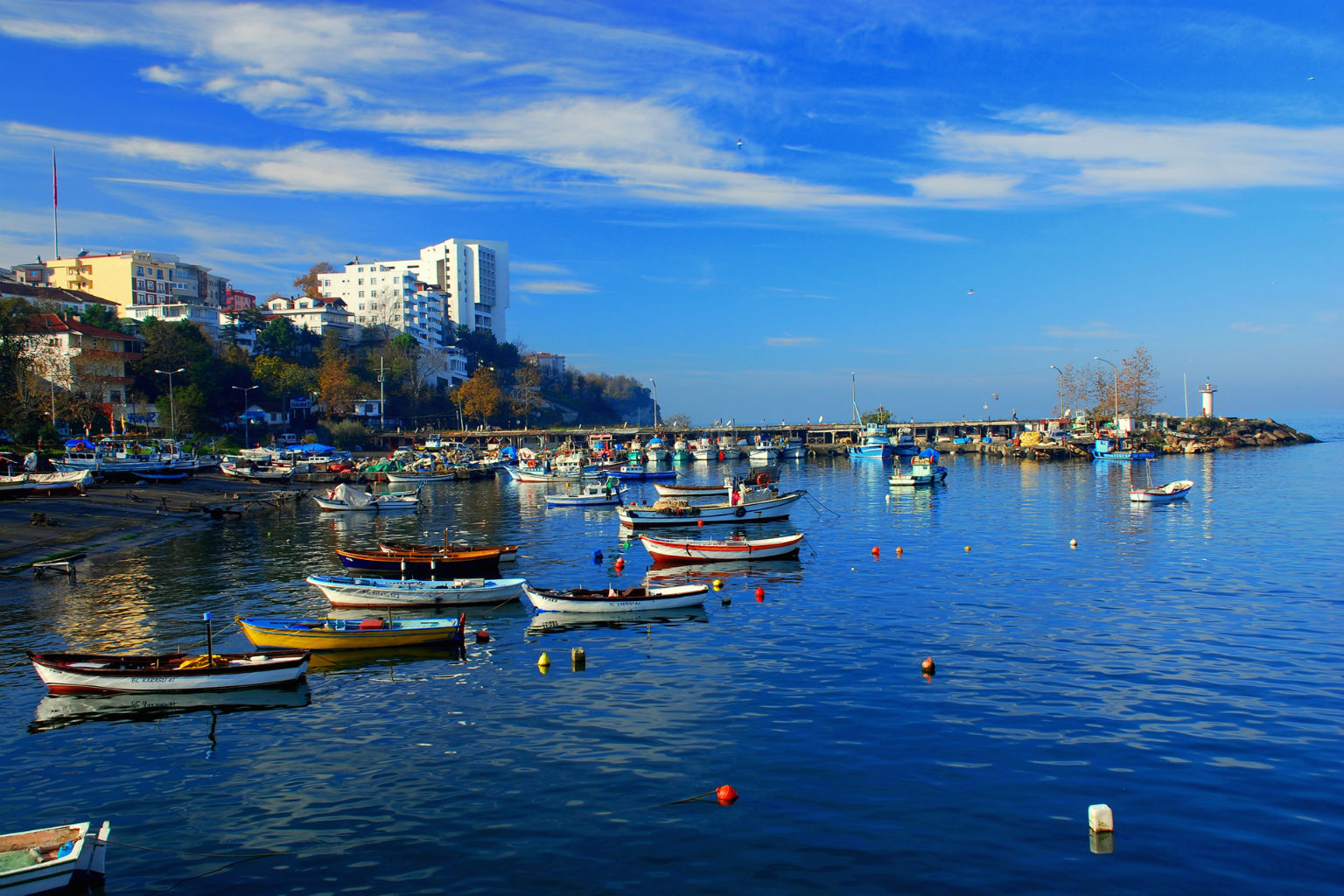 Study in Düzce -List of 1 Universities