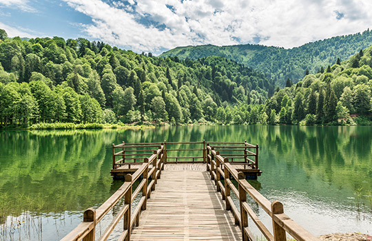 Artvin Üniversiteleri - 1 Üniversitenin Listesi