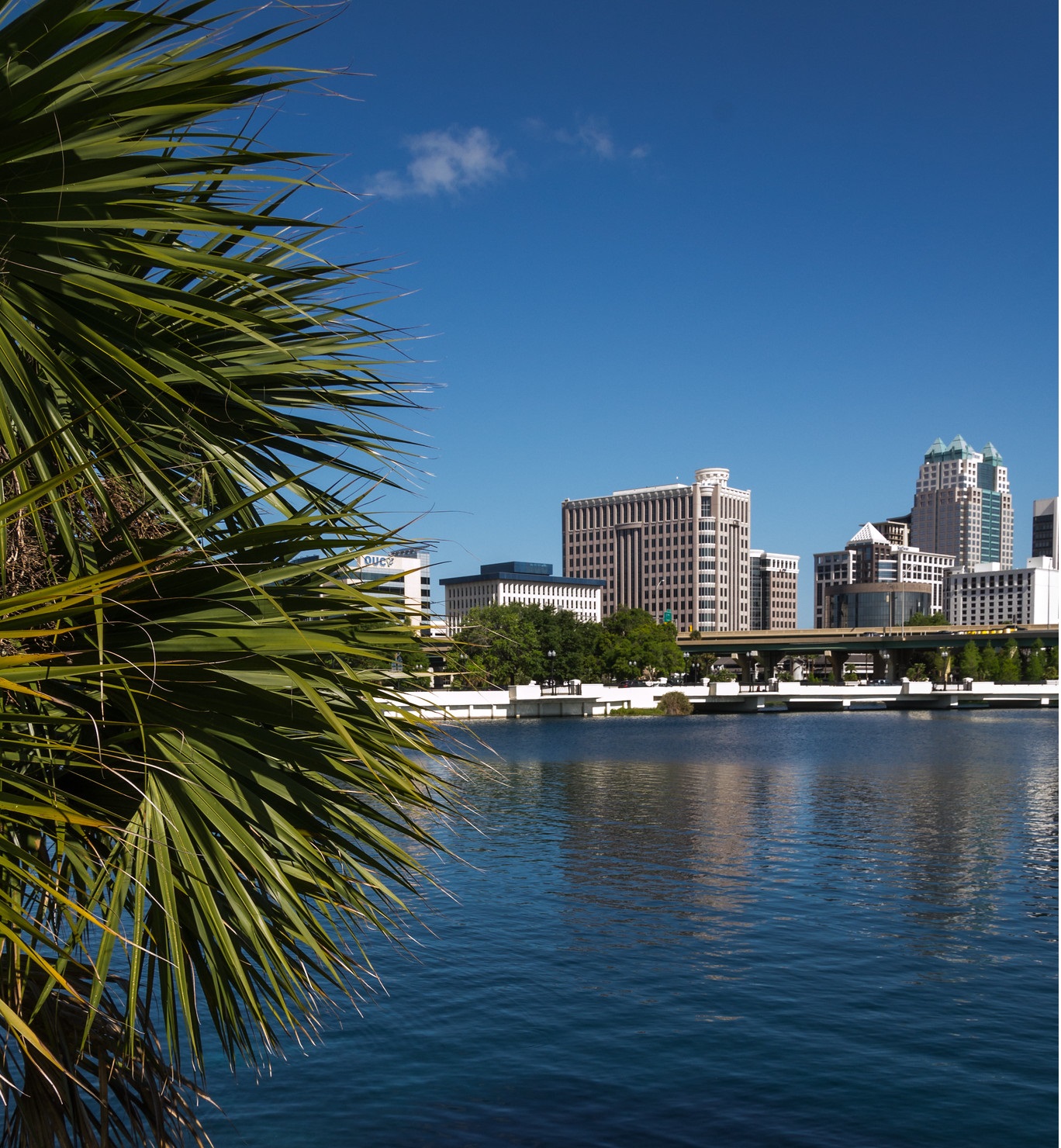 Master Study in Orlando -List of 1 Universities