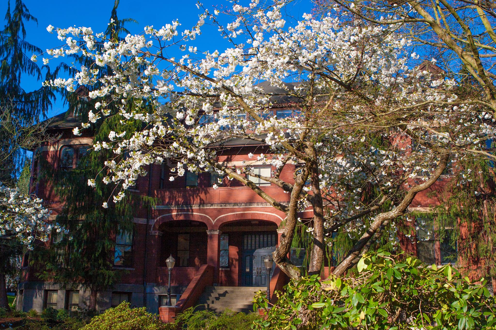 Seattle Pacific University in USA Ranking, Yearly Tuition